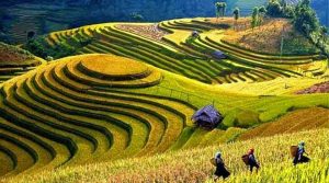 Objek Wisata Jatiluwih Pemandangan Sawah Terasering Di Tabanan Bali ...